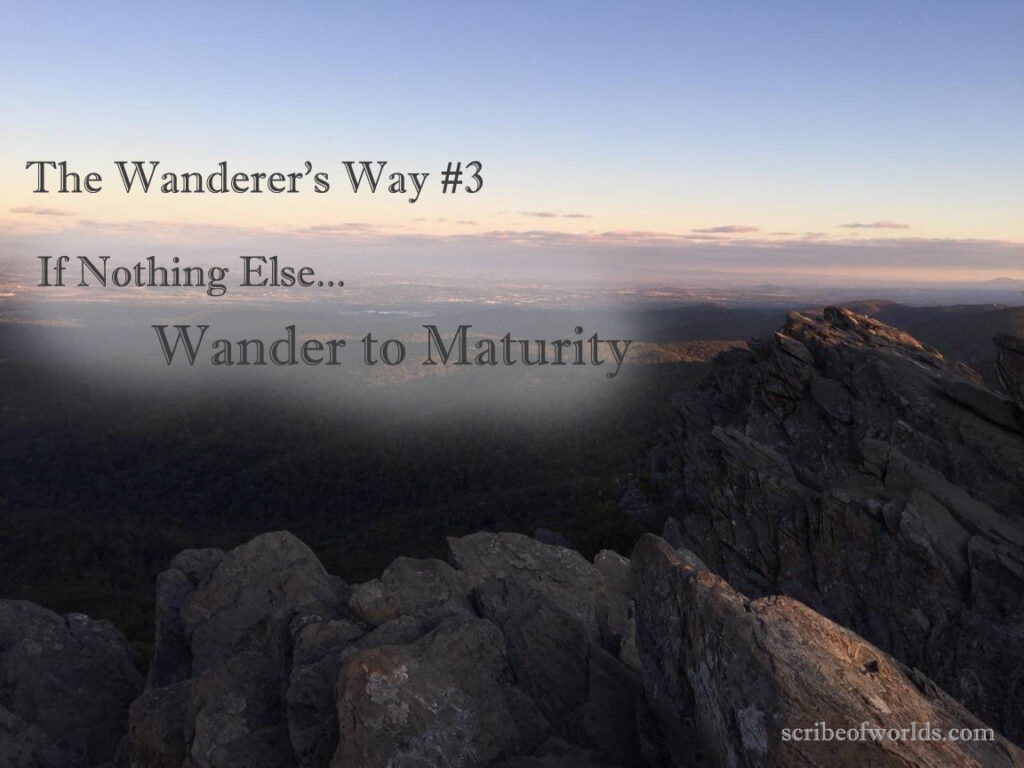 What a Wanderer is Not – Part Two | Scribe of Worlds